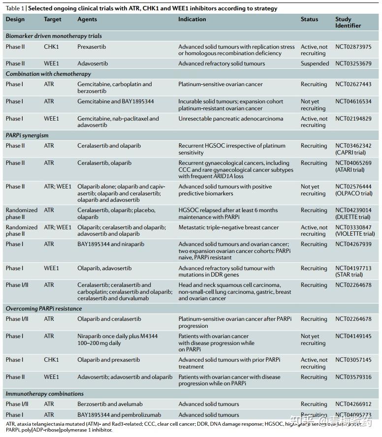 Nature Reviews | 靶向免疫应激用以抗肿瘤治疗 - 知乎