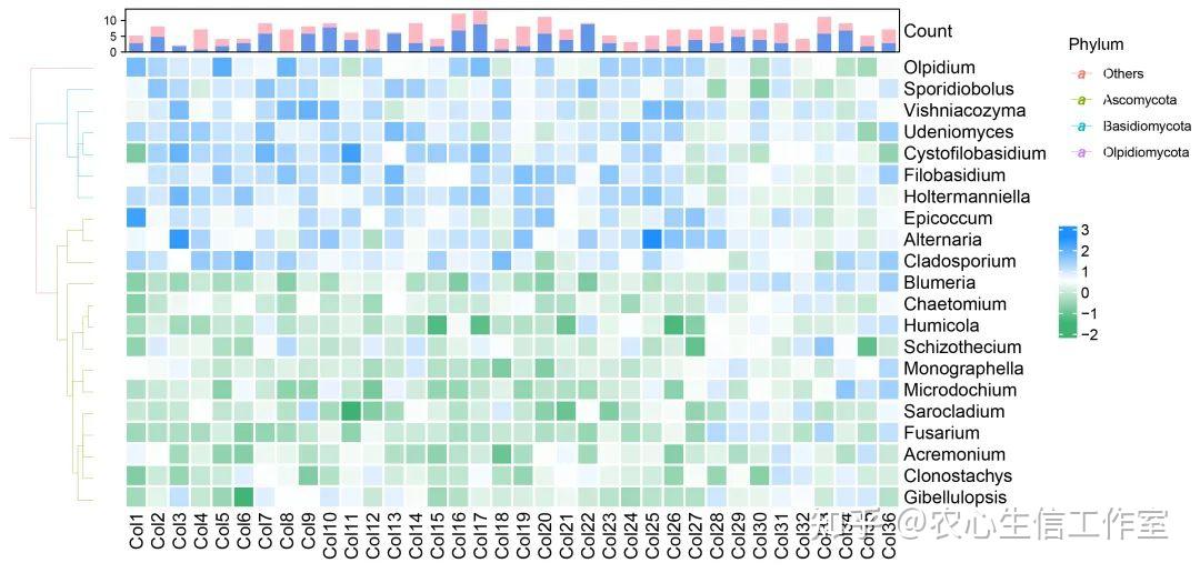 跟着Microbiome学做图｜利用ComplexHeatmap和taxtree包完成物种进化树+复杂热图的组合 - 知乎