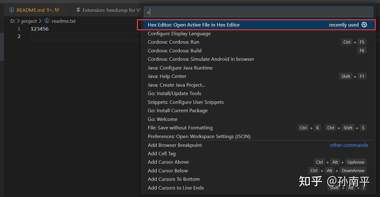 Hex Editor-VSCode插件使用 - 知乎