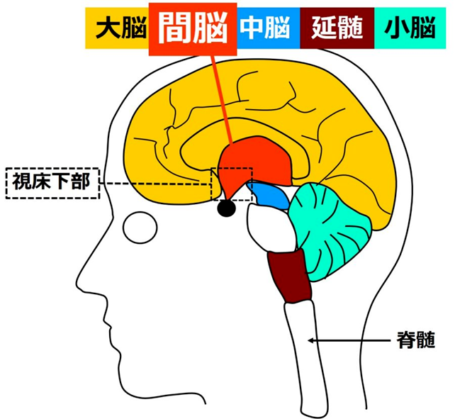 新手教程如何留住玩家？——FTUE设计方法 - 知乎