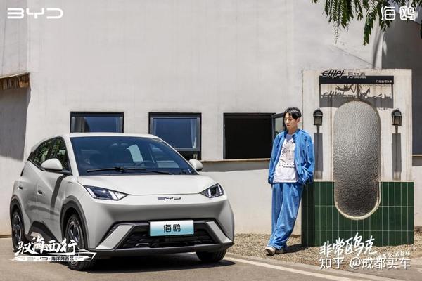 新生代 代步车 海鸥 知乎