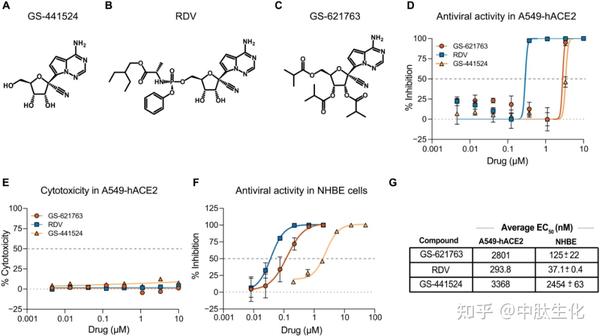 新冠口服药VV116登上NEJM的背后 - 知乎