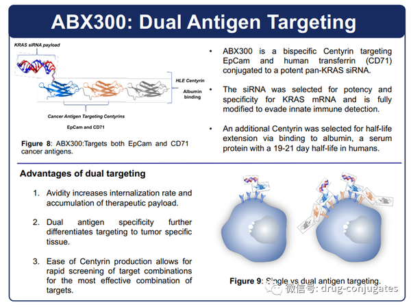 Aro Biotherapeutics：基于Centyrin库的双靶点寡核苷酸药物ABX300 - 知乎