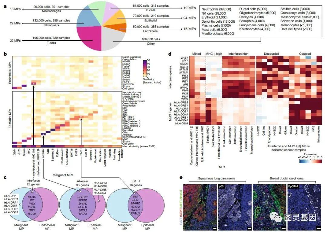 Can Cell | 肿瘤内异质性（ITH）的重复表达模式及其功能 - 知乎