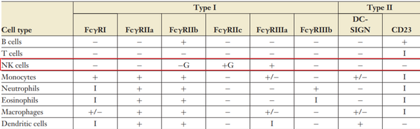 增强ADCC效应的三种工艺 - 知乎