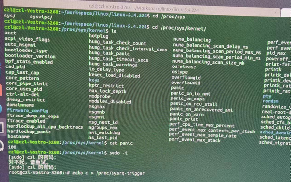 Linux内核panic核心执行逻辑 - 知乎