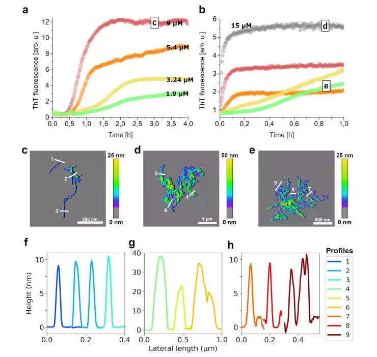 Nat Commun：内溶酶体的Aβ浓度和pH值触发Aβ寡聚体的形成，诱导Tau错配 - 知乎