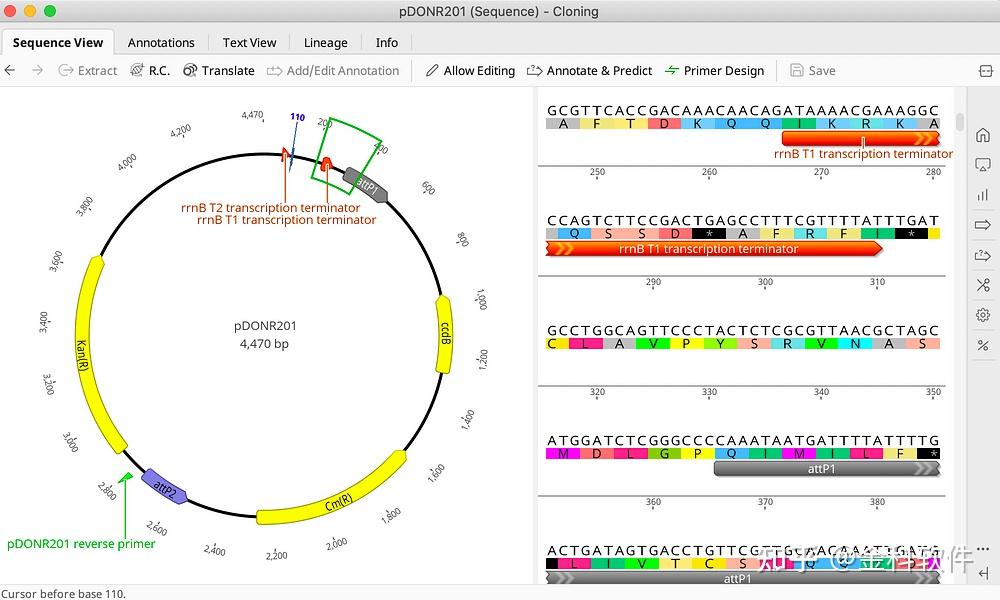 Geneious 全面的分子生物学和序列分析工具套件 - 知乎