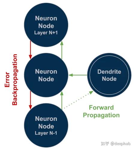 Perforated Backpropagation：神经网络优化的创新技术及PyTorch使用指南 - 知乎