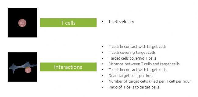 Nanolive 3D活细胞成像及其近年高分文章介绍 - 知乎