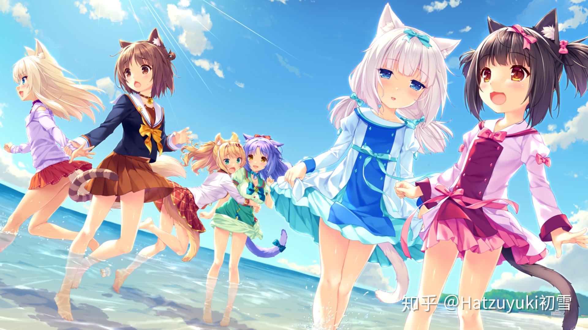 我一定会有猫(娘)的qwq————初雪的废萌拔作合集推荐!【二】 知乎