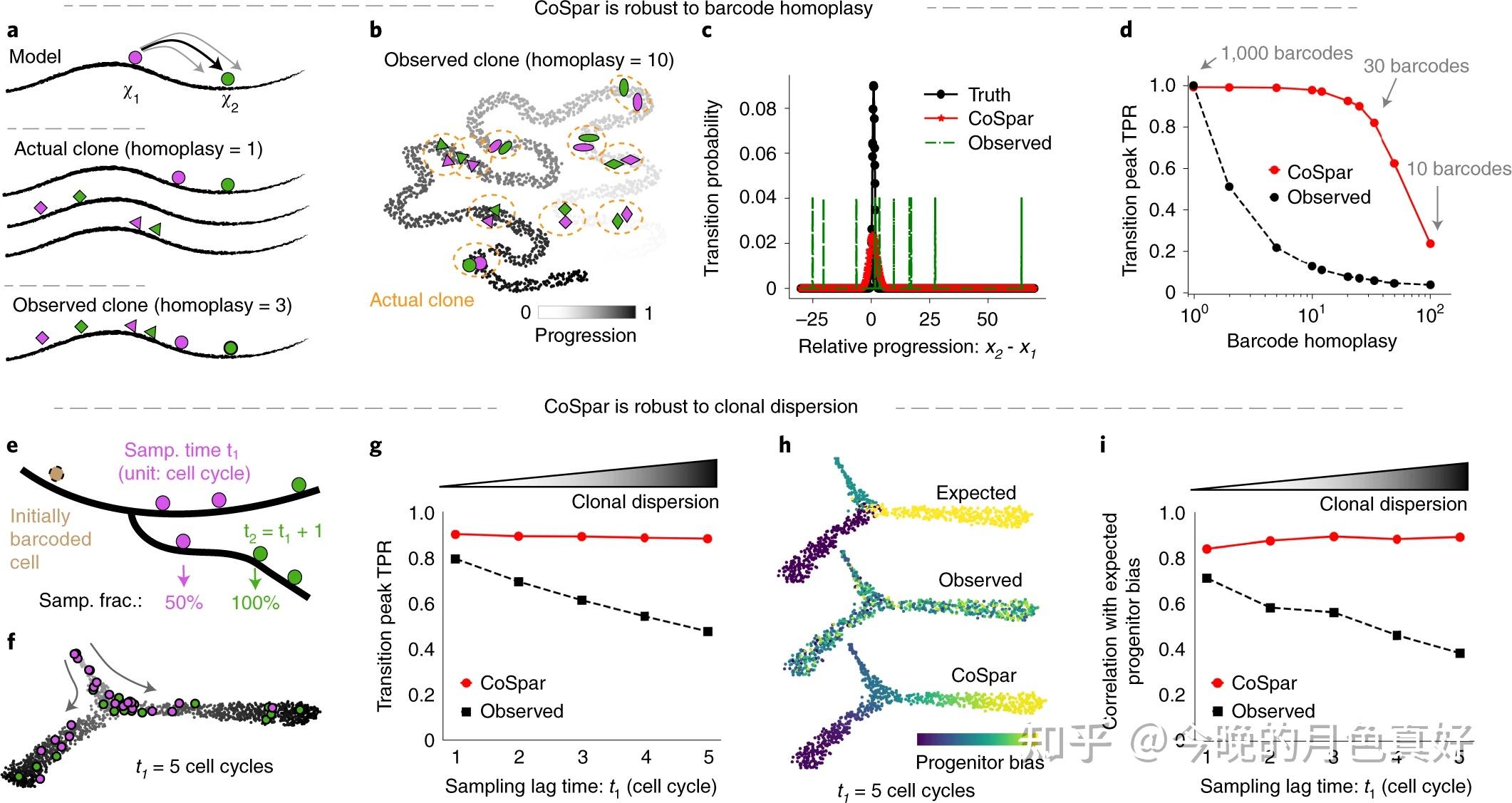CoSpar identifies early cell fate biases from single-cell transcriptomic and lineage information ...
