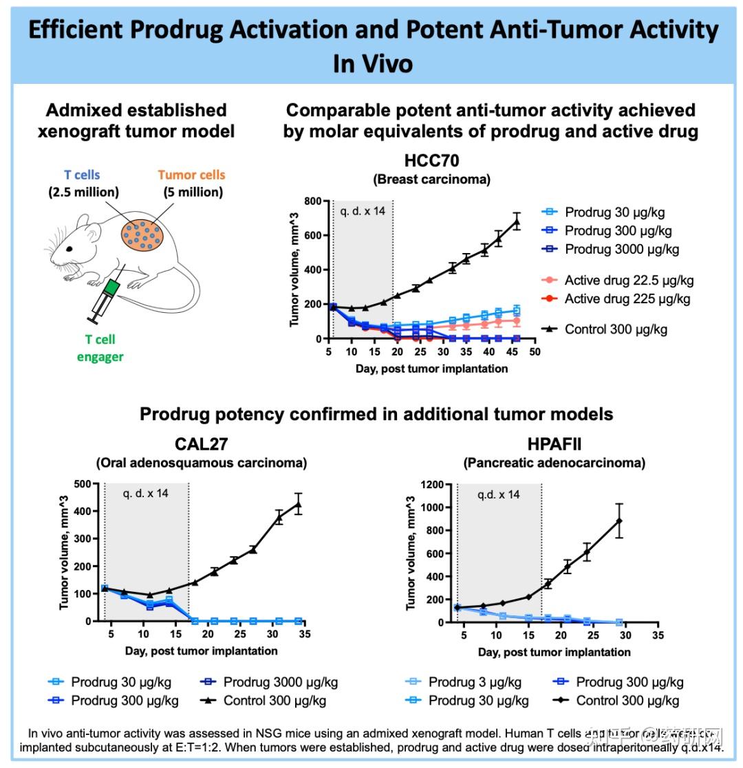 Seagen押注的癌症潜力靶点：ITGB6 - 知乎