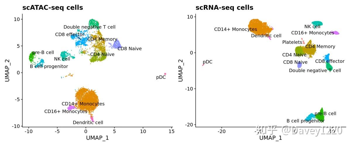 Seurat包学习笔记（六）：scATAC-seq + scRNA-seq integration - 知乎
