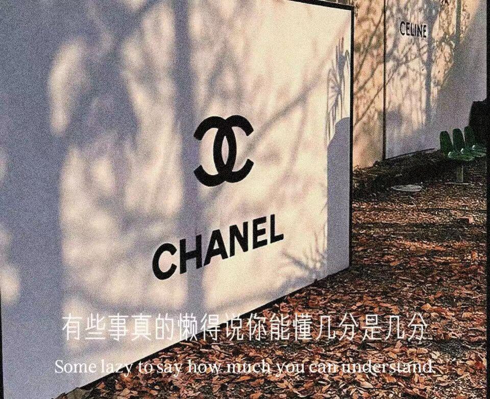 近期很喜欢的文案 知乎