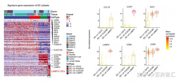 Smart-seq2单细胞全长转录组测序——技术详解 - 知乎