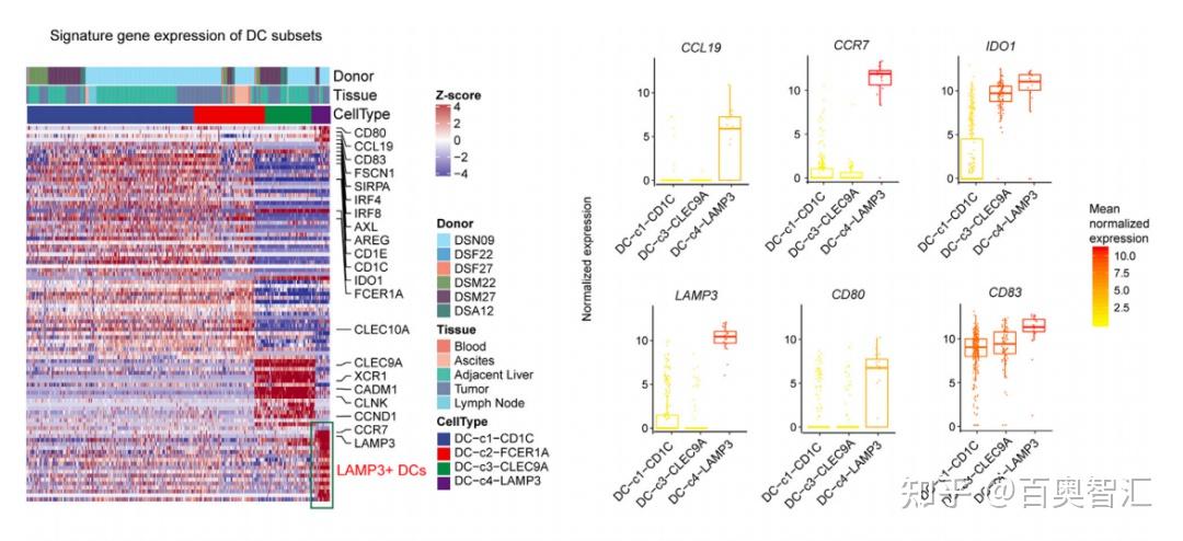 Smart-seq2单细胞全长转录组测序——技术详解 - 知乎