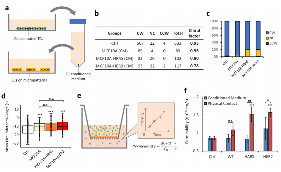 APL Bio | 癌细胞如何导致血管渗漏 - 知乎