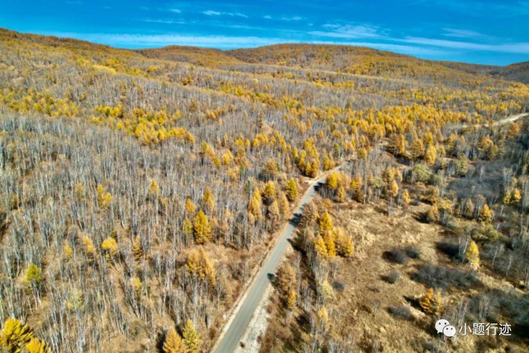 最佳自驾前往阿尔山国家森林公园路线，最美的风景在路上！(收藏攻略) - 知乎