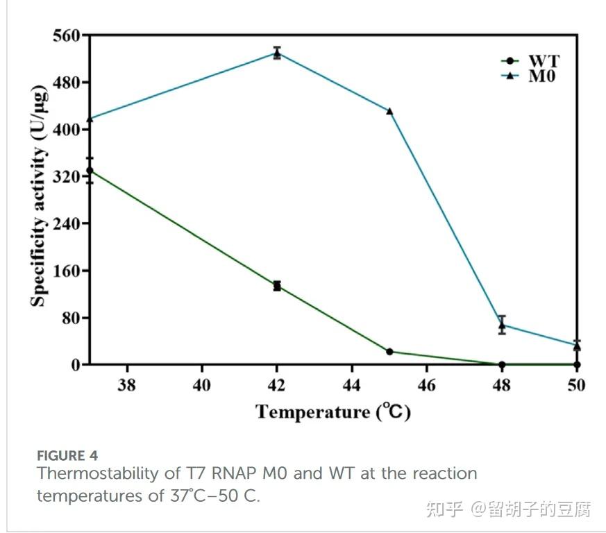 耐高温T7 RNA 聚合酶仅凭一步IVT反应高效合成circRNA - 知乎