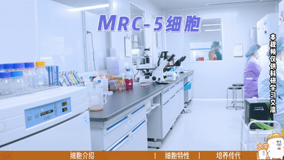 MRC-5细胞培养，人胚肺成纤维细胞培养攻略-丰晖生物 - 知乎