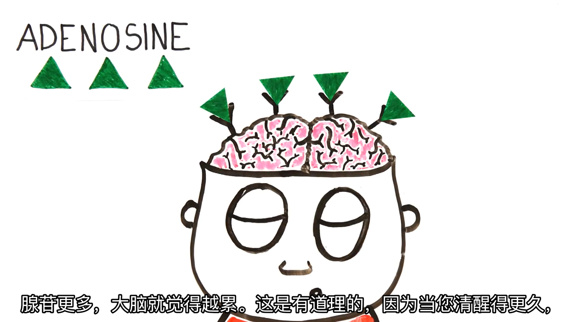 我们是如何对咖啡上瘾的:咖啡因的作用详解 - 知乎