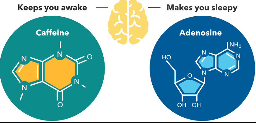靠咖啡“续命”？女性重要阶段如何喝咖啡？ - 知乎