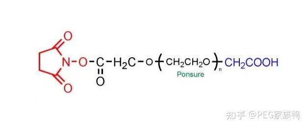 NHS PEG COOH，由羧基、聚乙二醇链段和N-羟基琥珀酰亚胺活性酯基团组成 - 知乎