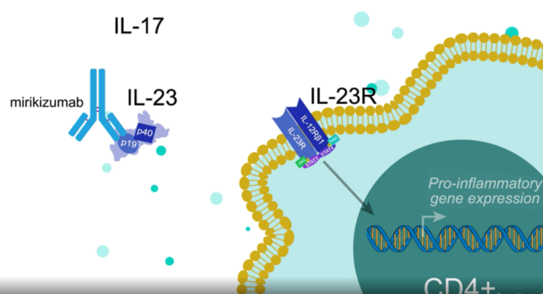 礼来又一款IL-23单抗纳入CDE突破疗法，治疗克罗恩病 - 知乎