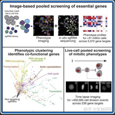 每日文摘 | 2022年11月24日 - 知乎