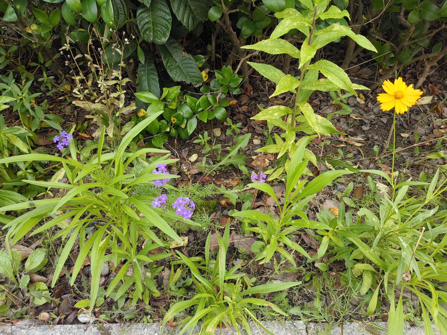 2025.6学习与生活记录 - 知乎