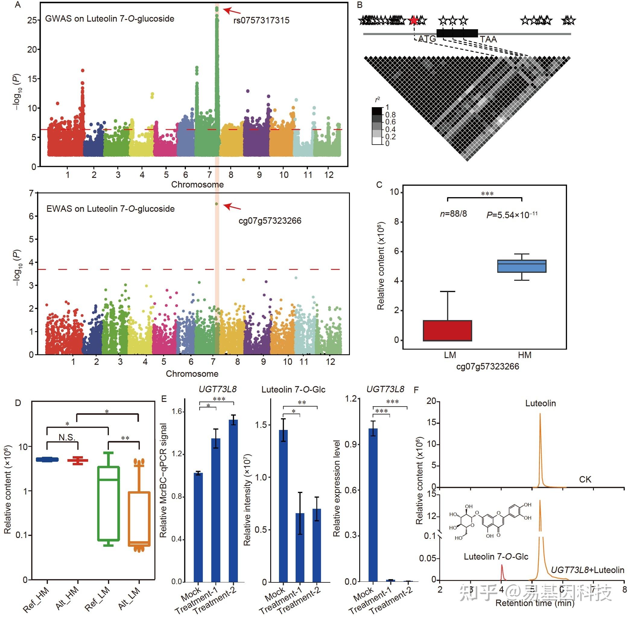 易基因：群体分析揭示了DNA甲基化在番茄驯化和代谢多样性中的作用｜组学研究 - 知乎