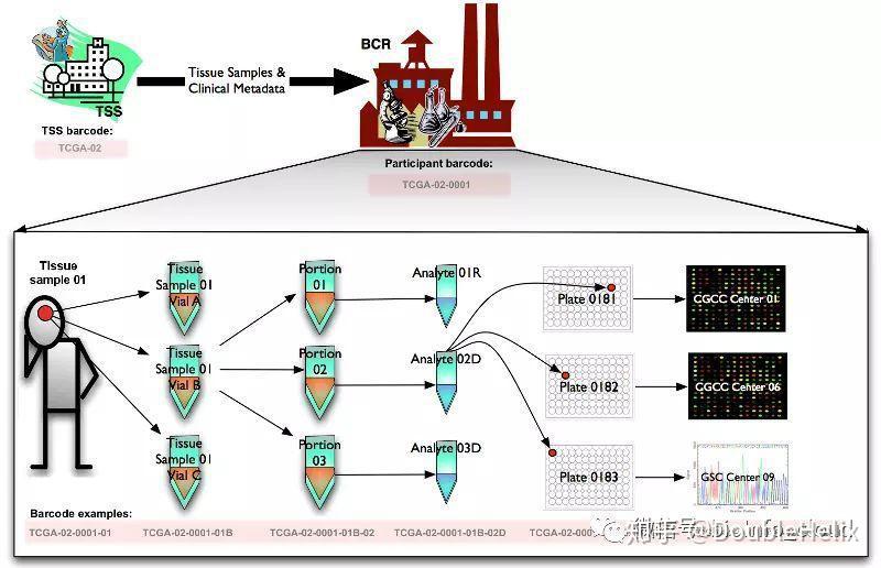 TCGA数据挖掘（一）：TCGAbiolinks包介绍 - 知乎