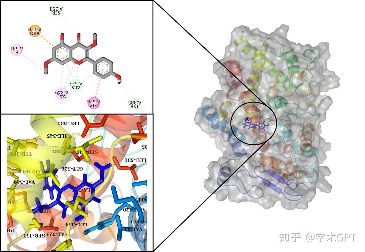 Molecular docking-分子对接 - 知乎