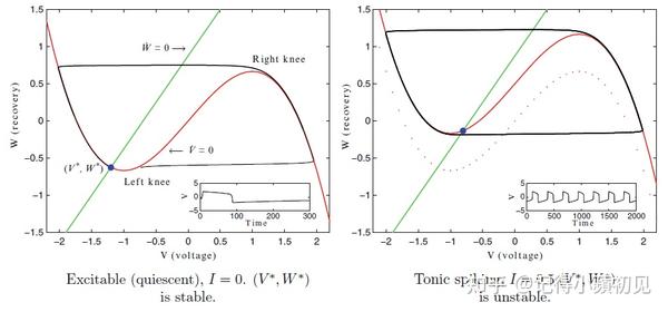 HH方程的简化版本 - FHN模型：动力学特性与相平面分析 - 知乎