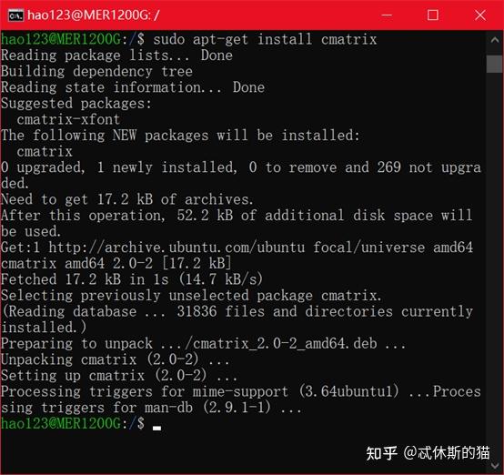 Windows实现黑客帝国代码雨效果 - 知乎