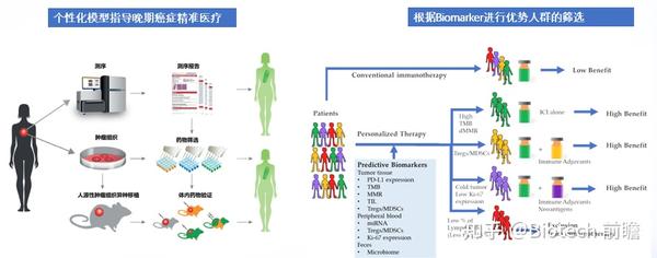 KRAS突变激活CD47实现肿瘤免疫逃逸，CD47抗体能否逆袭 - 知乎