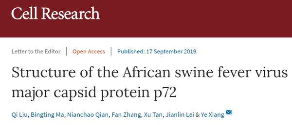 Cell Research：清华大学在非洲猪瘟病毒研究中取得突破性进展，破解病毒结构 - 知乎