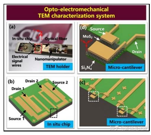 《Adv.Mater.》TEM表征新进展！ - 知乎