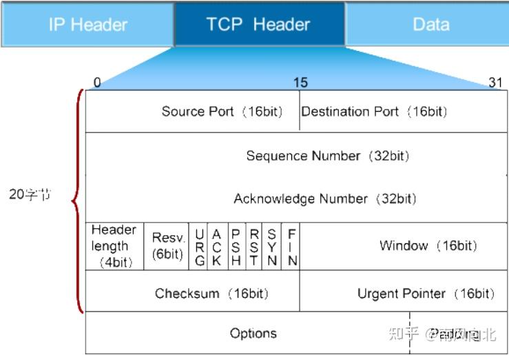 一文详解TCP协议特点、常见应用及报文格式 - 知乎