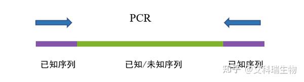 揭开 RACE 技术的神秘面纱 - 知乎