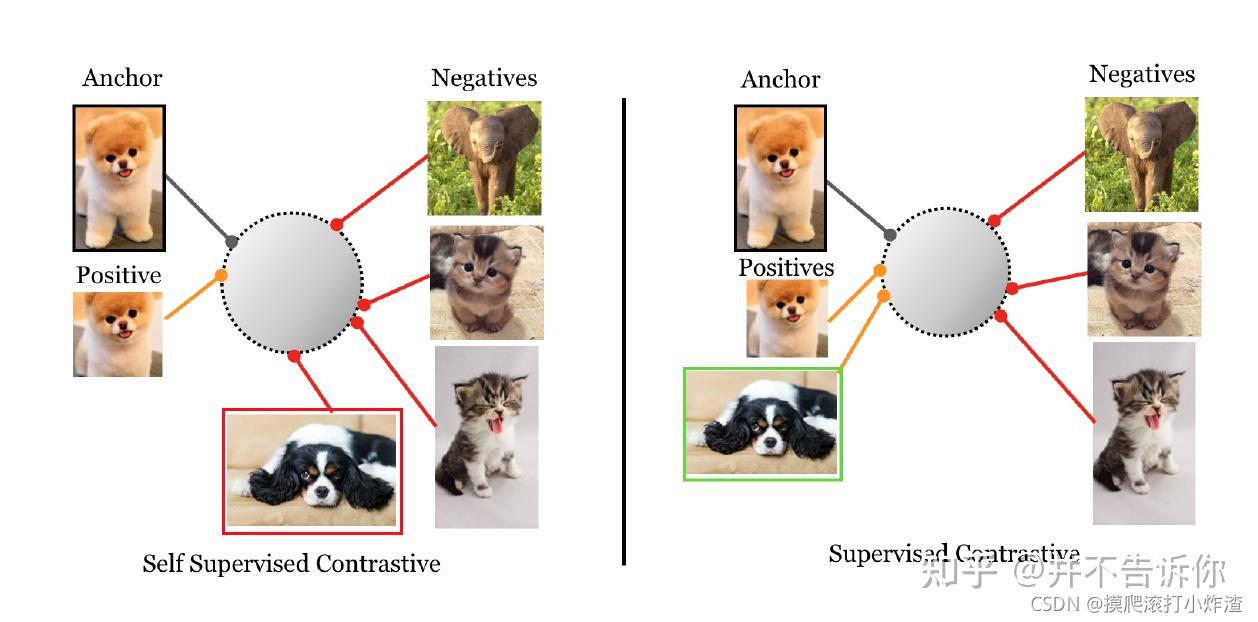 ContraD论文部分翻译与解读（Training GANs with Stronger Augmentations via ...
