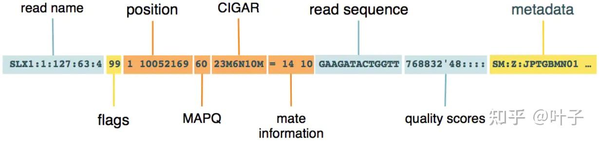 BAM 文件中MAPQ-学习笔记 - 知乎