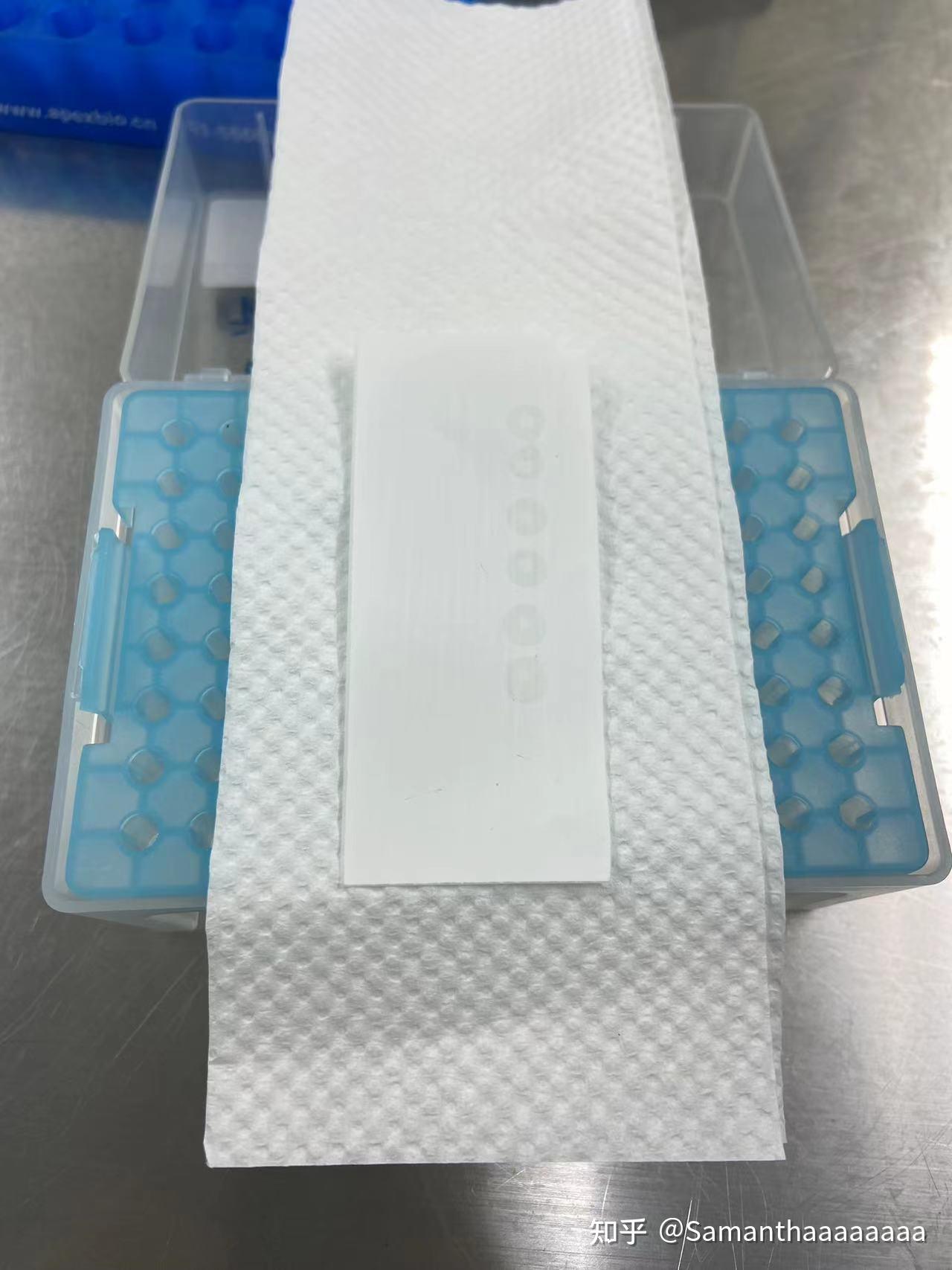 dot blot实验求助 - 知乎