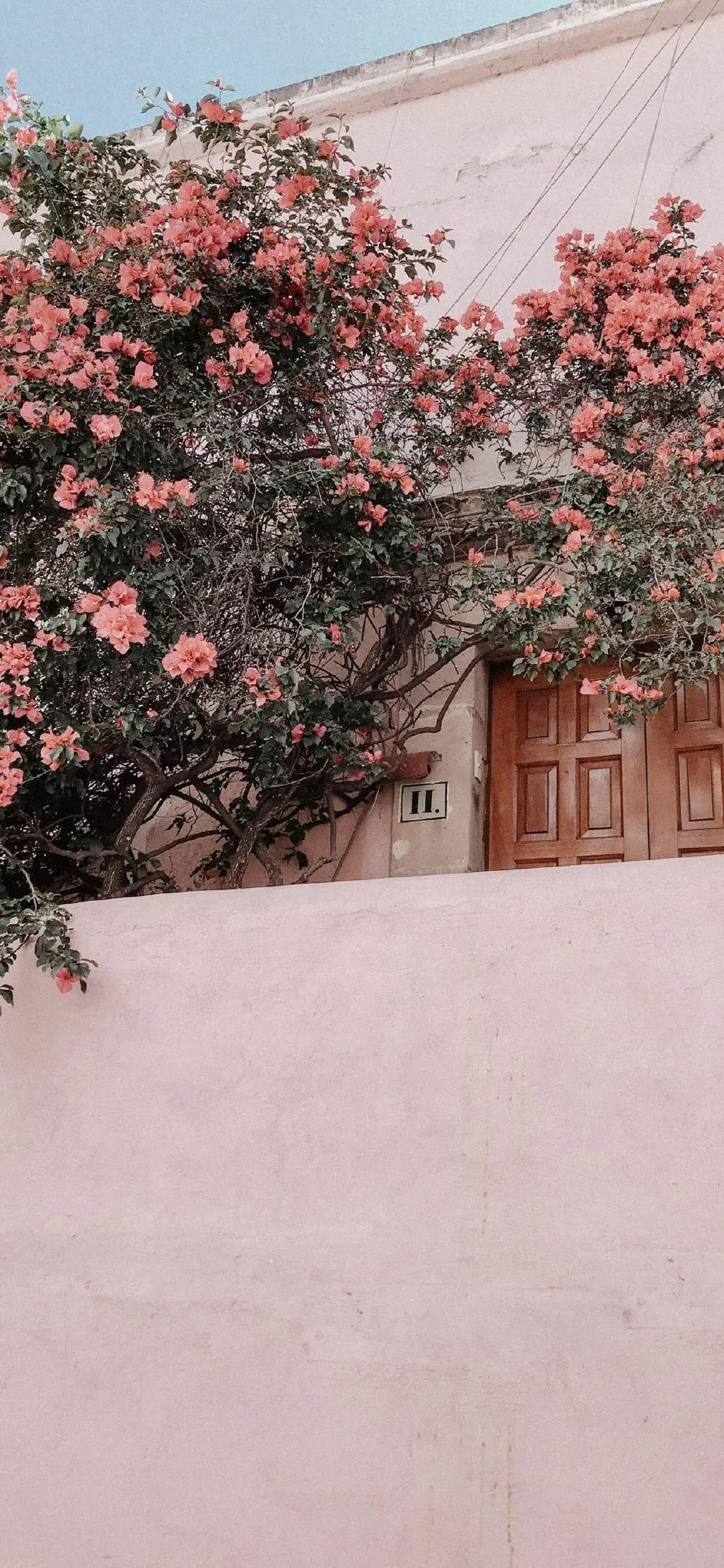 105张特别的手机壁纸 - 知乎