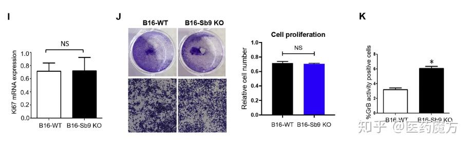 Cell：癌症免疫治疗新靶点——SerpinB9 - 知乎