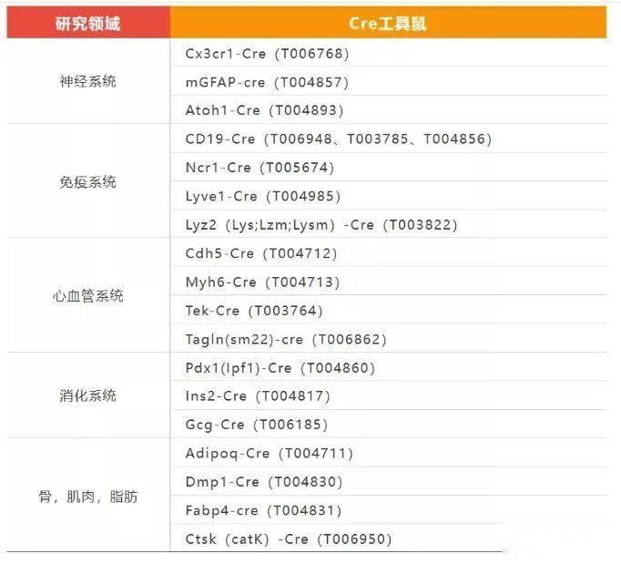 Cre工具鼠的构建技术 - 知乎