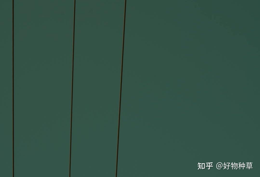 七月文案总有一条适合你发朋友圈 知乎