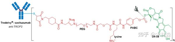 抗体偶联药物ADC通用名称命名-6 Gilead/Immunomedics - 知乎