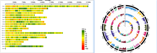 GWAS分析中可视化：QQ图和曼哈顿图 - 知乎